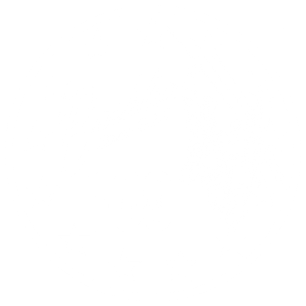 Quality Tools for Professional Workers - Bashlin